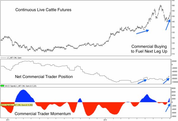 One More All-Time High Coming in Cattle | Waldock Trading